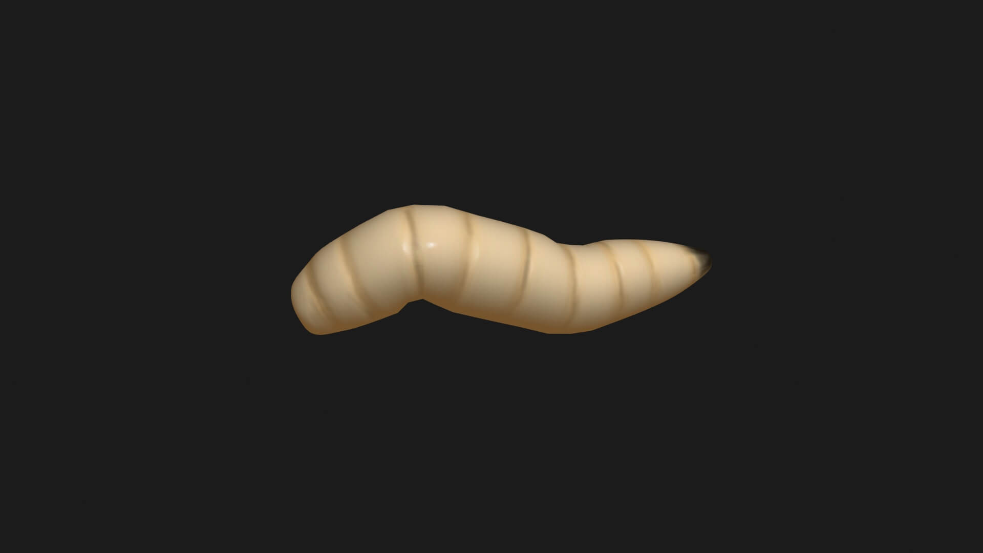 Animated Maggot - 3D Model by MadeCG