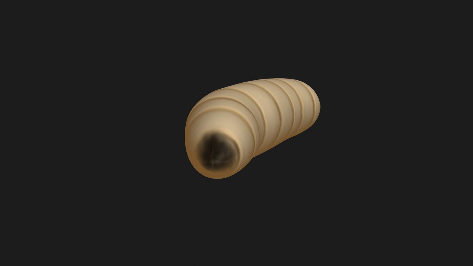 Animated Maggot - 3D Model by MadeCG