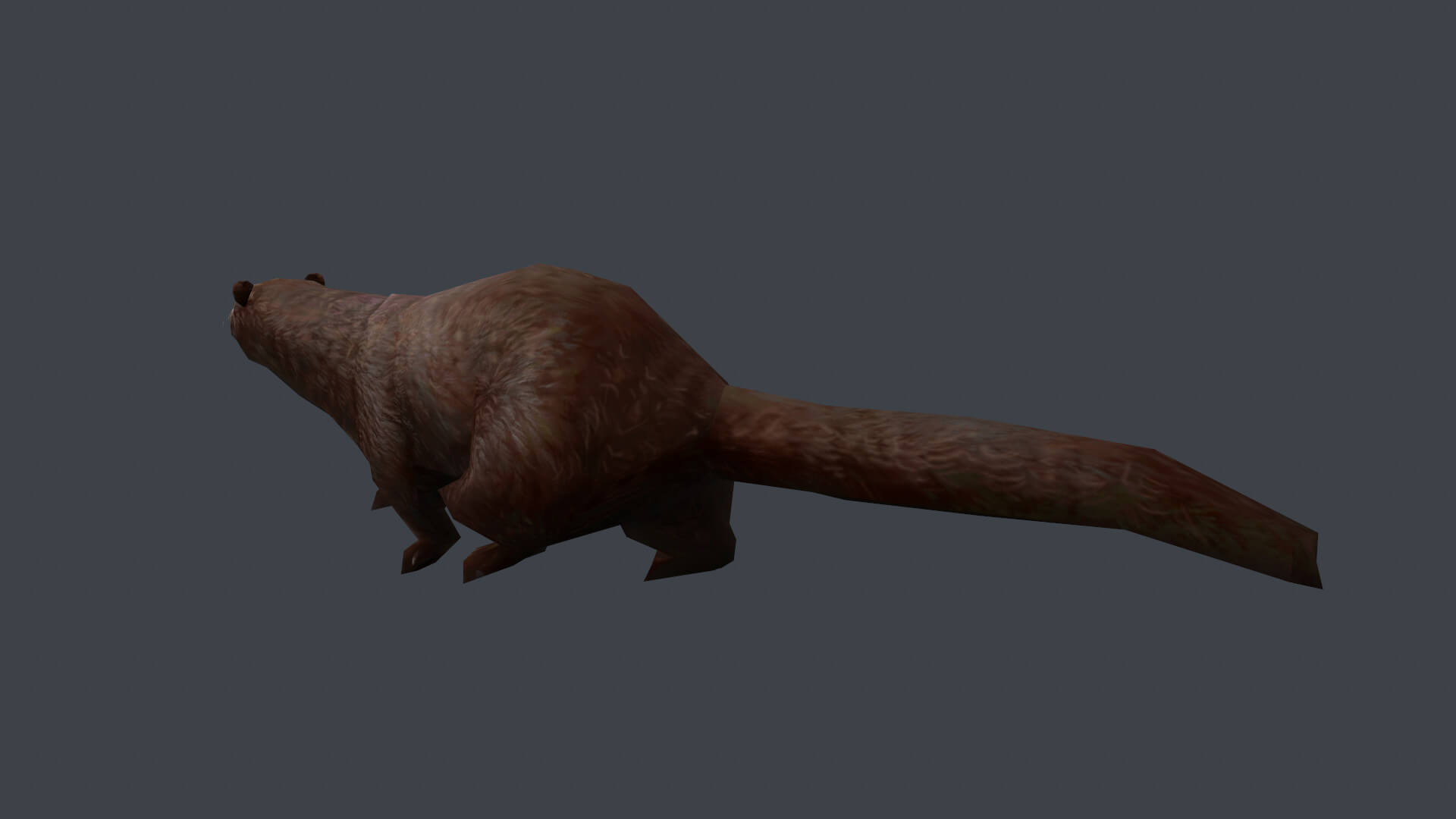 Animated Marten - 3D Model by MadeCG