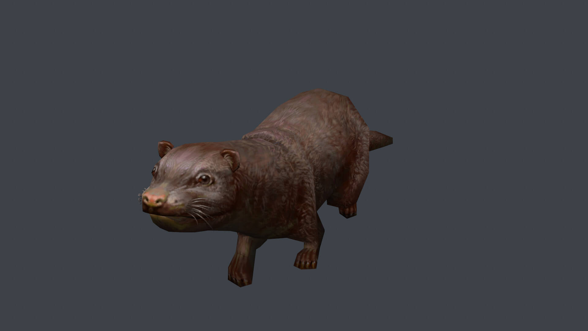 Animated Marten - 3D Model by MadeCG