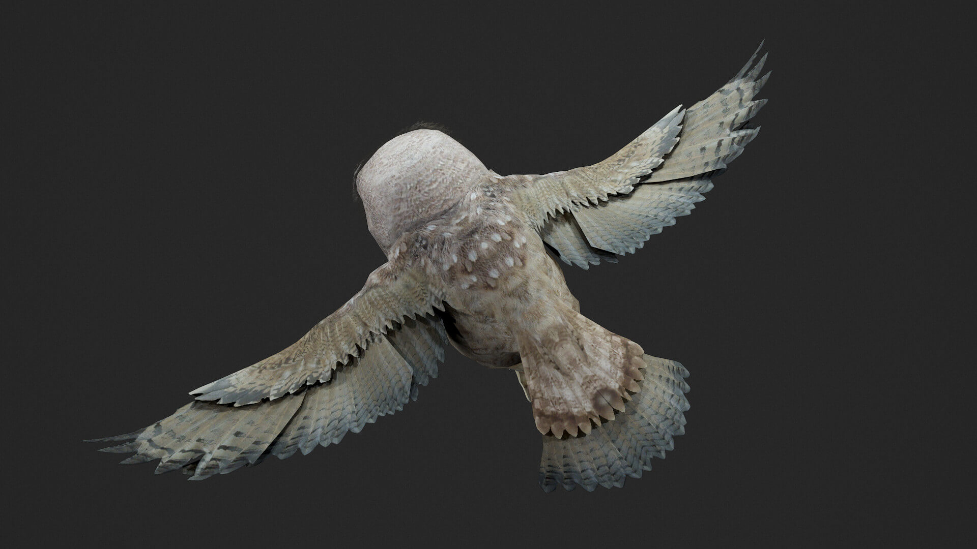 Owl - 3D Model by MadeCG