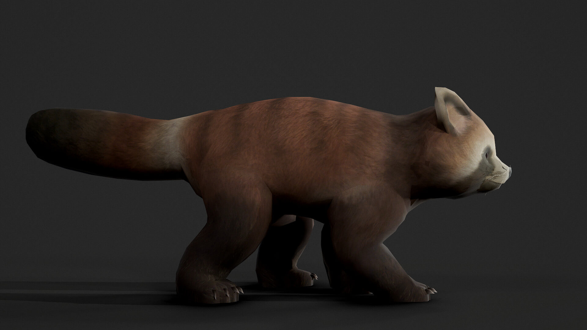 Red Panda - 3D Model by MadeCG