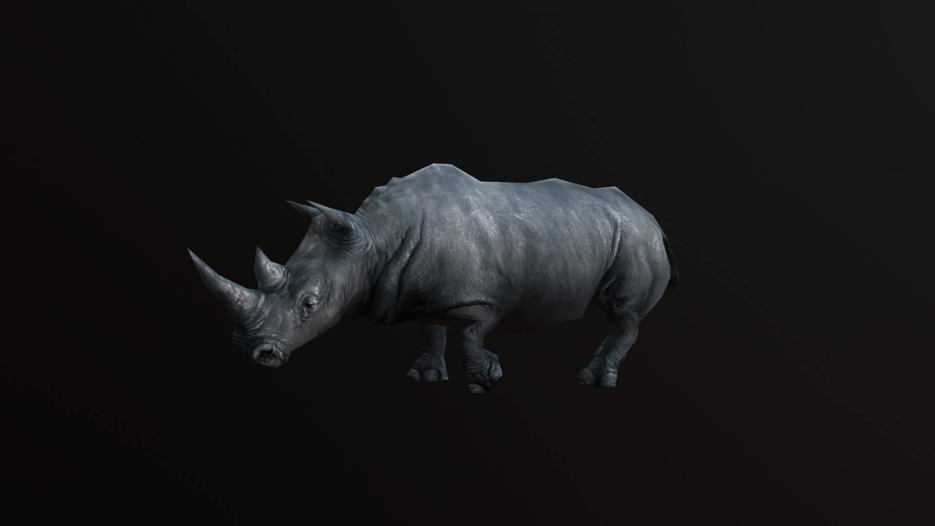 Rhinoceros - 3D Model by MadeCG