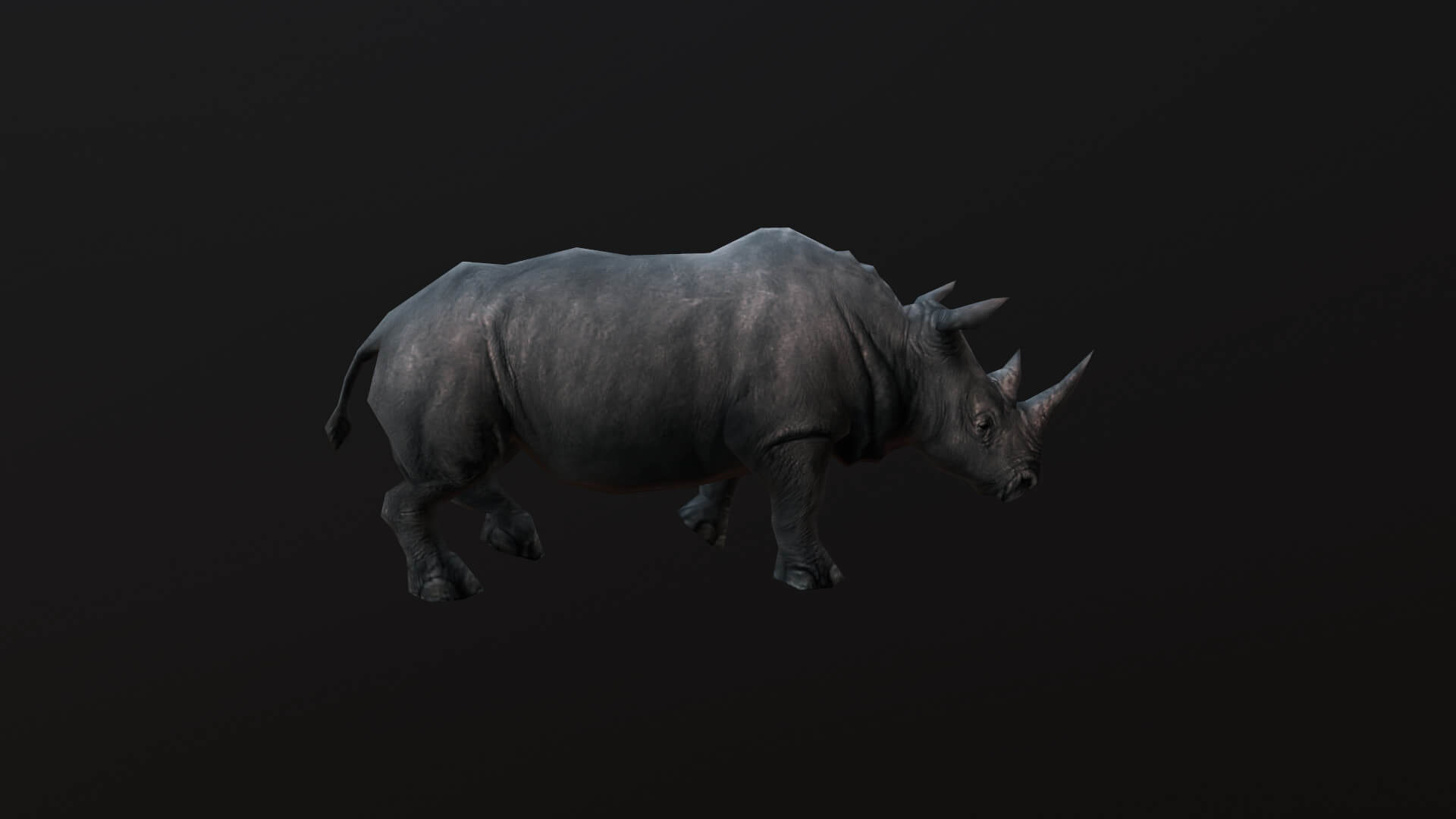 Rhinoceros - 3D Model by MadeCG