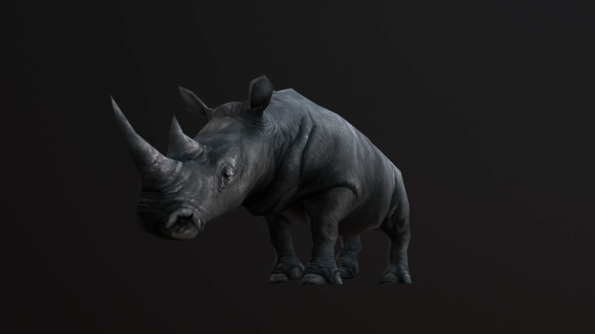 Rhinoceros - 3D Model by MadeCG
