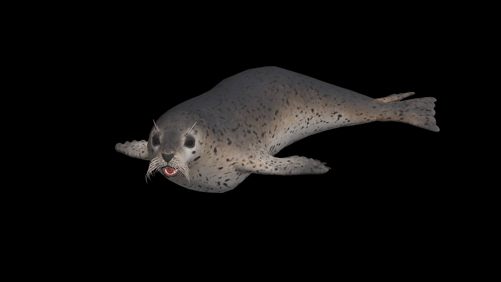 Seal - 3D Model by MadeCG