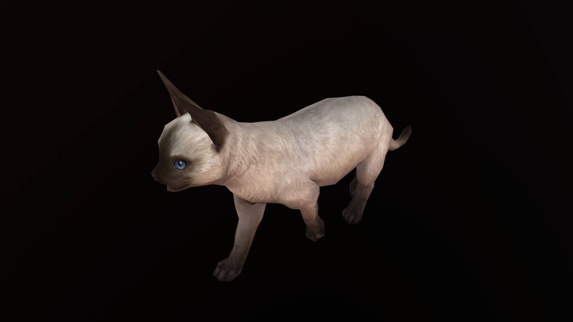 Cat - 3D Model by MadeCG