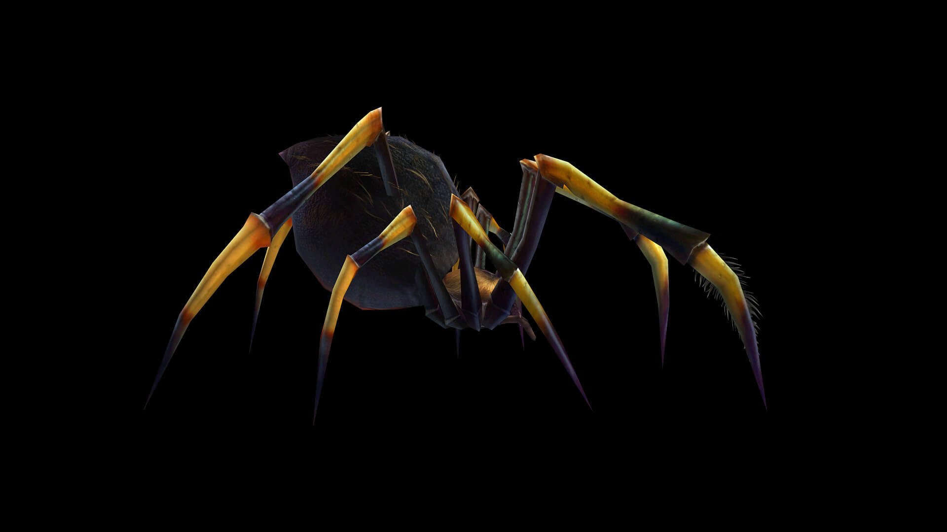 Animated Spider - 3D Model by MadeCG