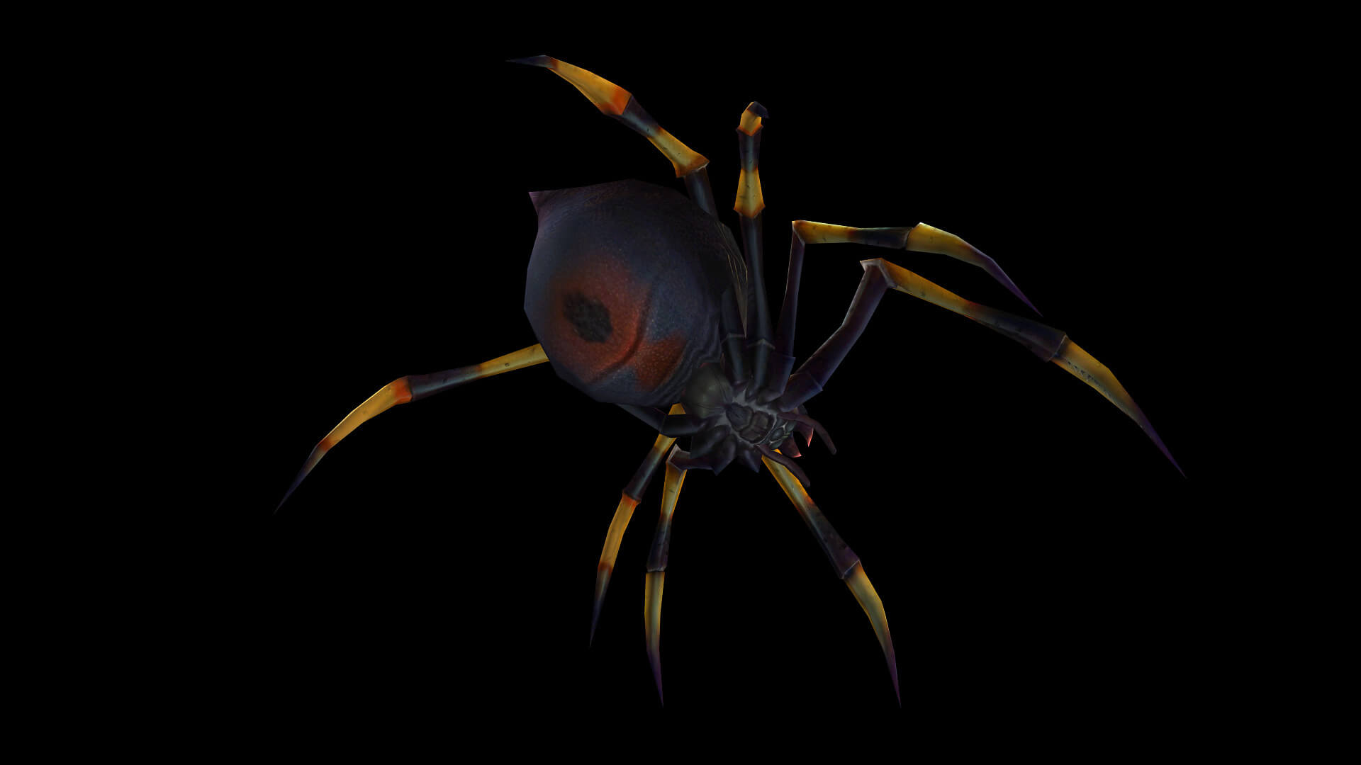 Animated Spider - 3D Model by MadeCG