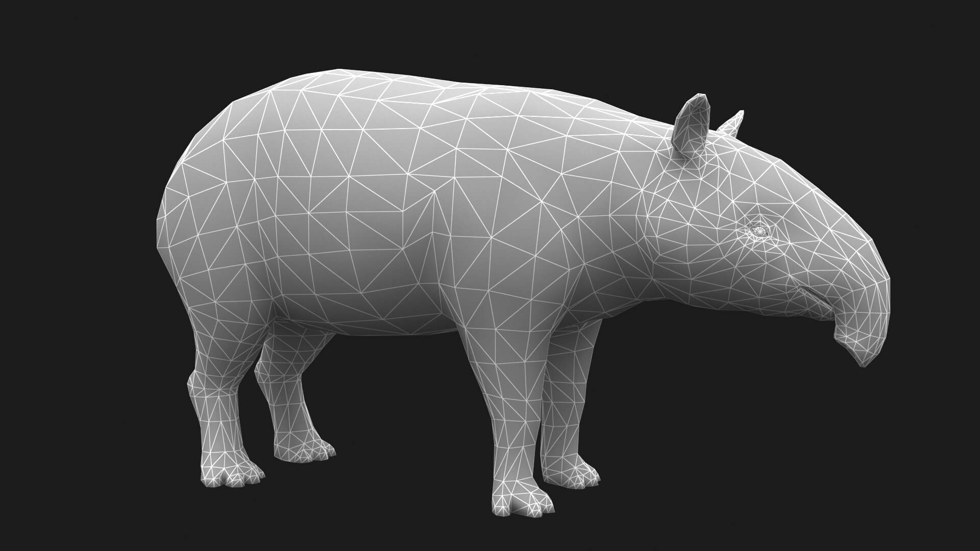 Animated Tapir - 3D Model by MadeCG