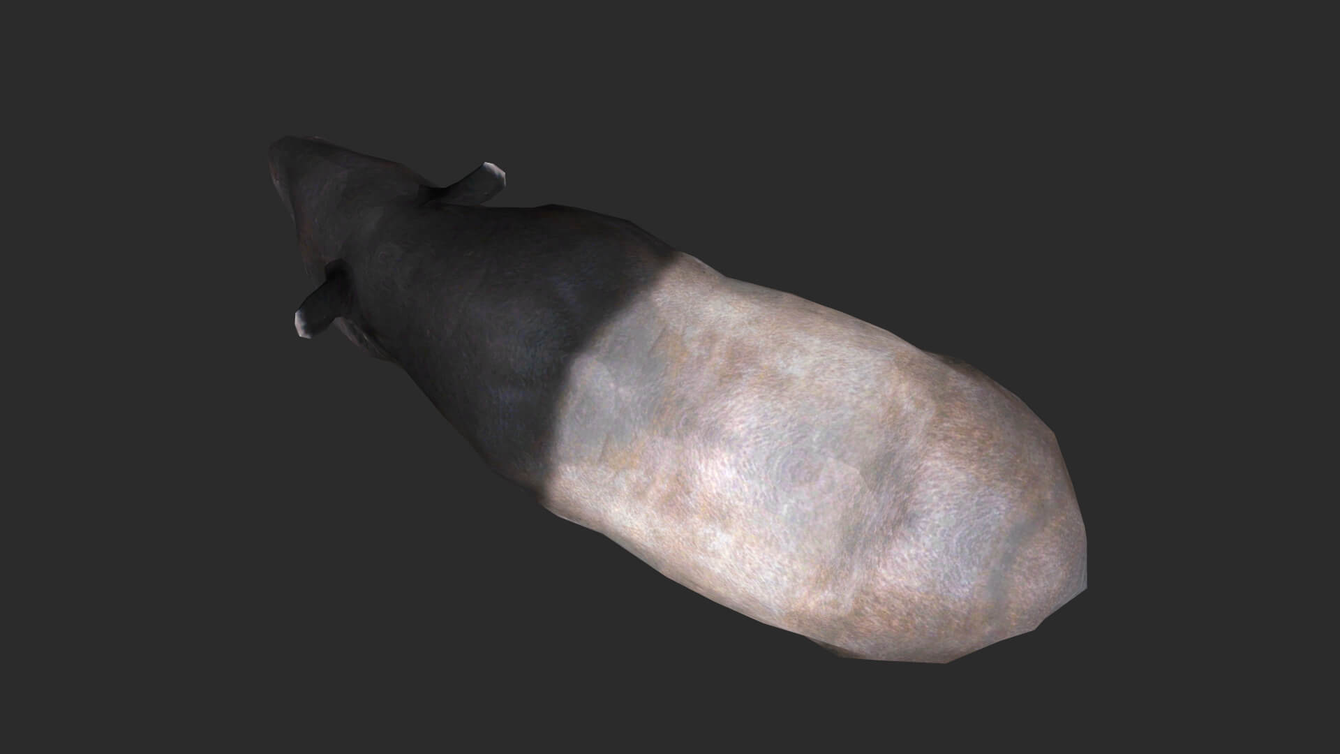 Animated Tapir - 3D Model by MadeCG