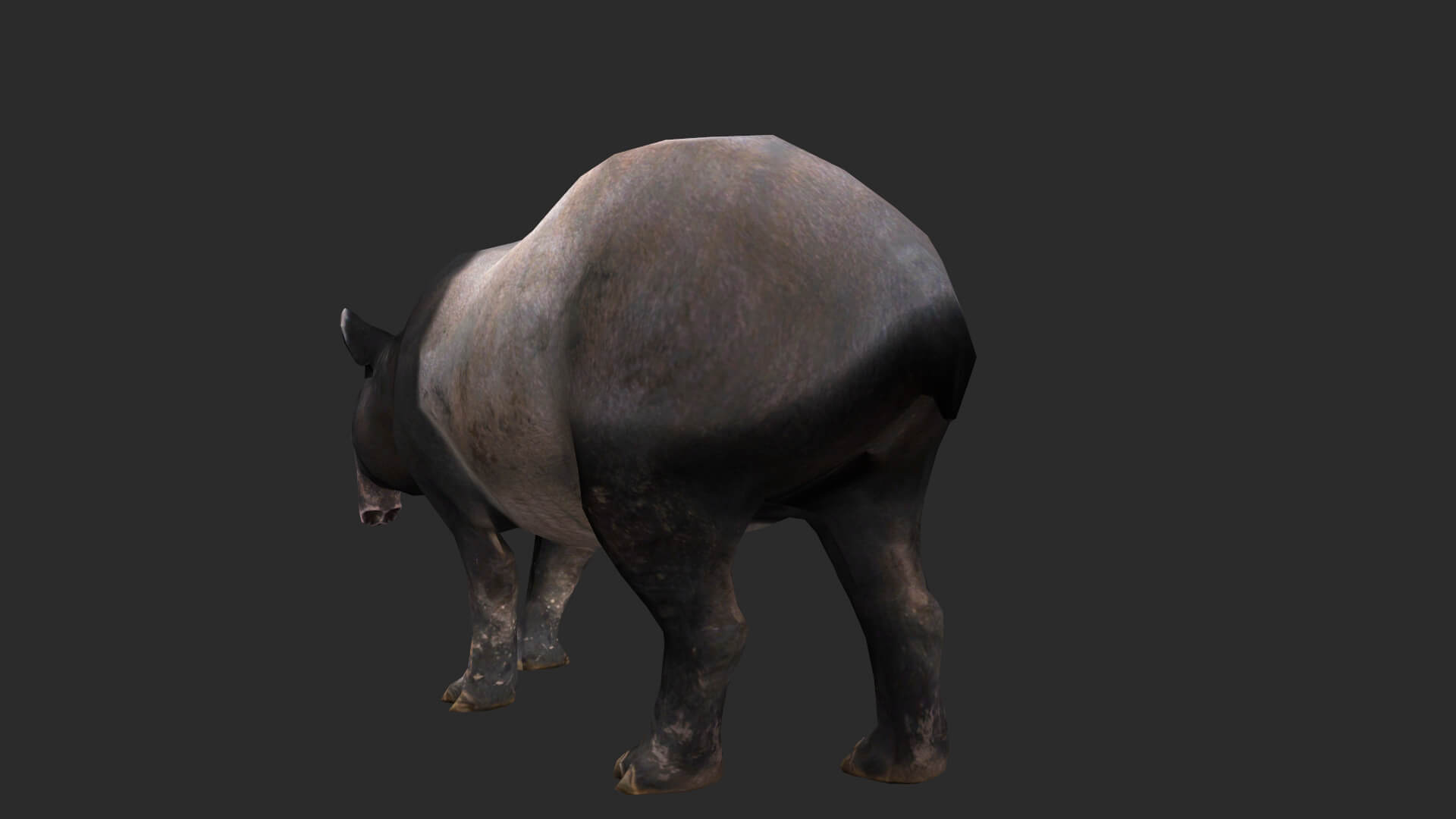 Animated Tapir - 3D Model by MadeCG