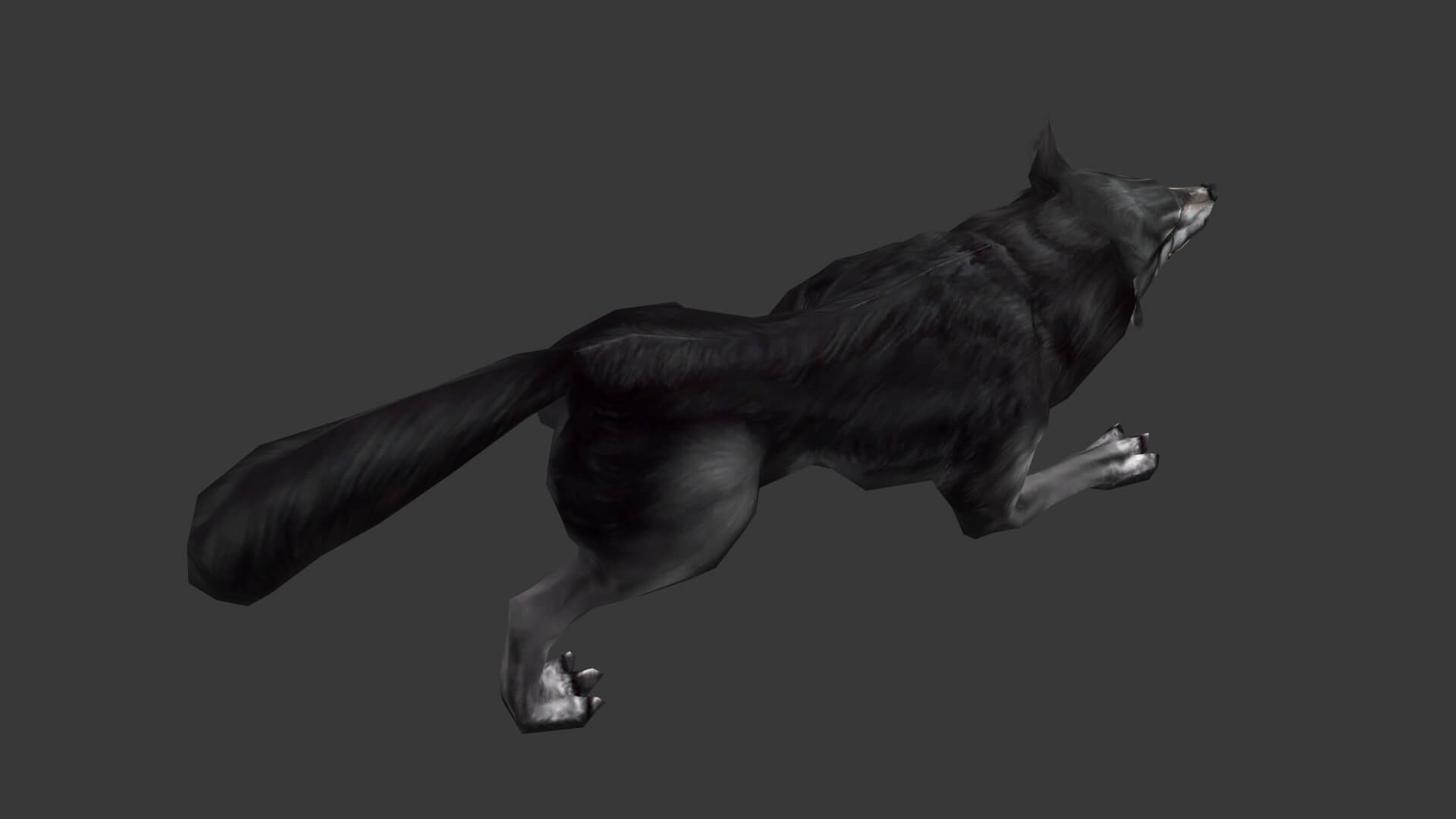 Animated Wolf - 3D Model by MadeCG