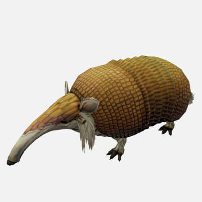 Animated Armadillo - 3D Model by MadeCG