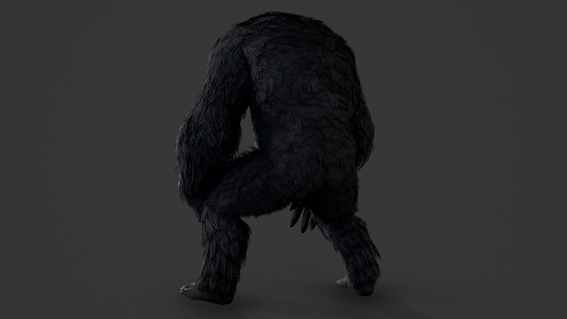 Gorilla Ape Orangutan - 3D Model by MadeCG