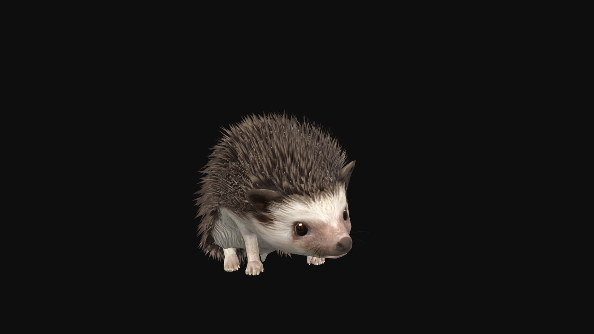 Animated Hedgehog - 3D Model by MadeCG