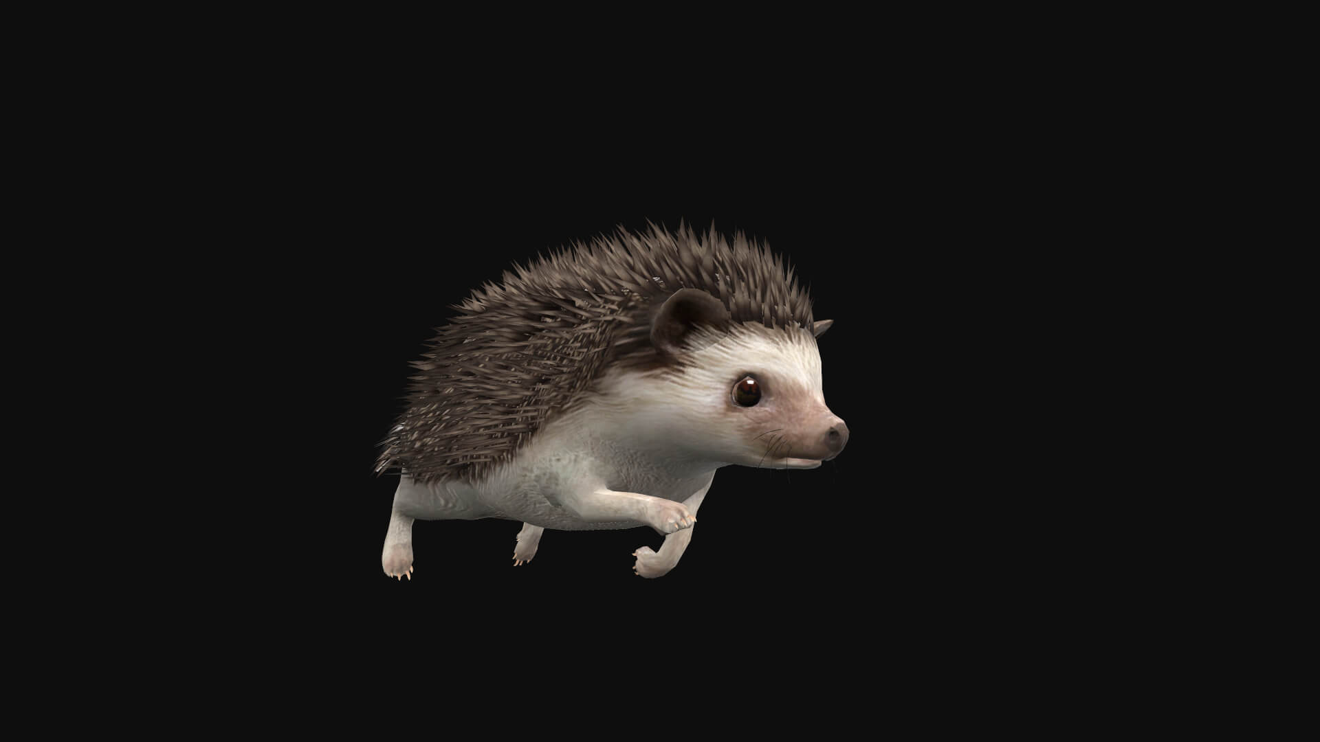 Animated Hedgehog - 3D Model by MadeCG
