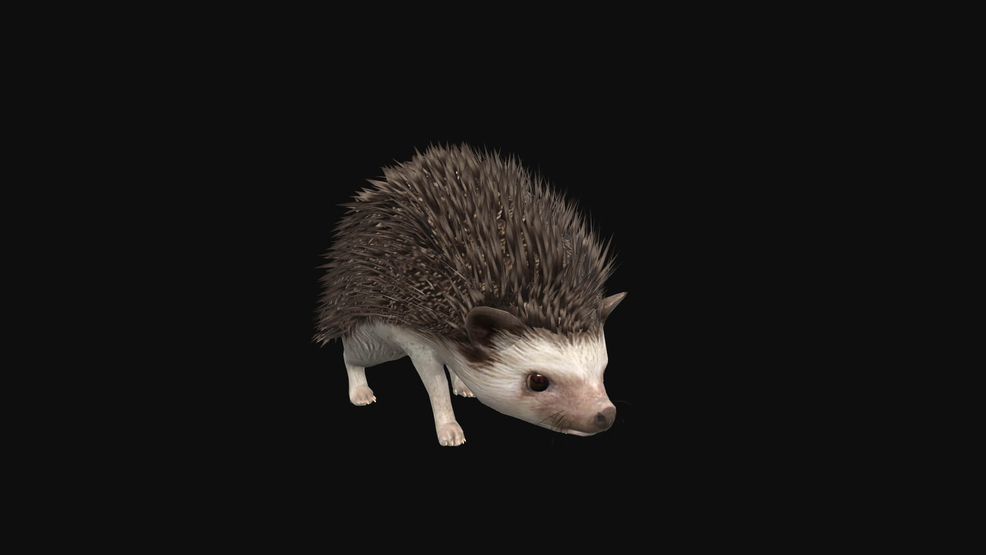 Animated Hedgehog - 3D Model by MadeCG