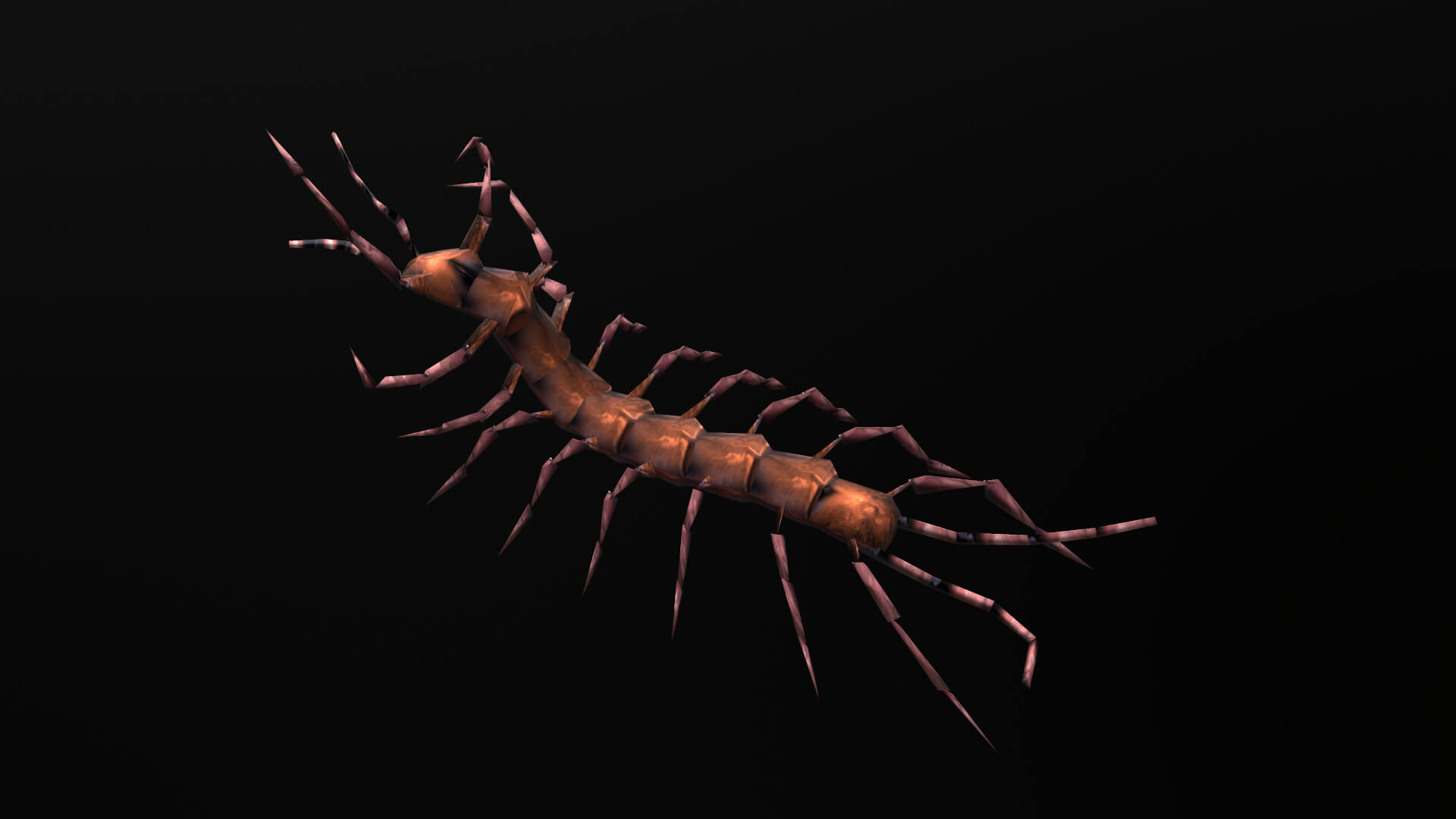 Low Poly Animated Centipede - 3D Model by MadeCG