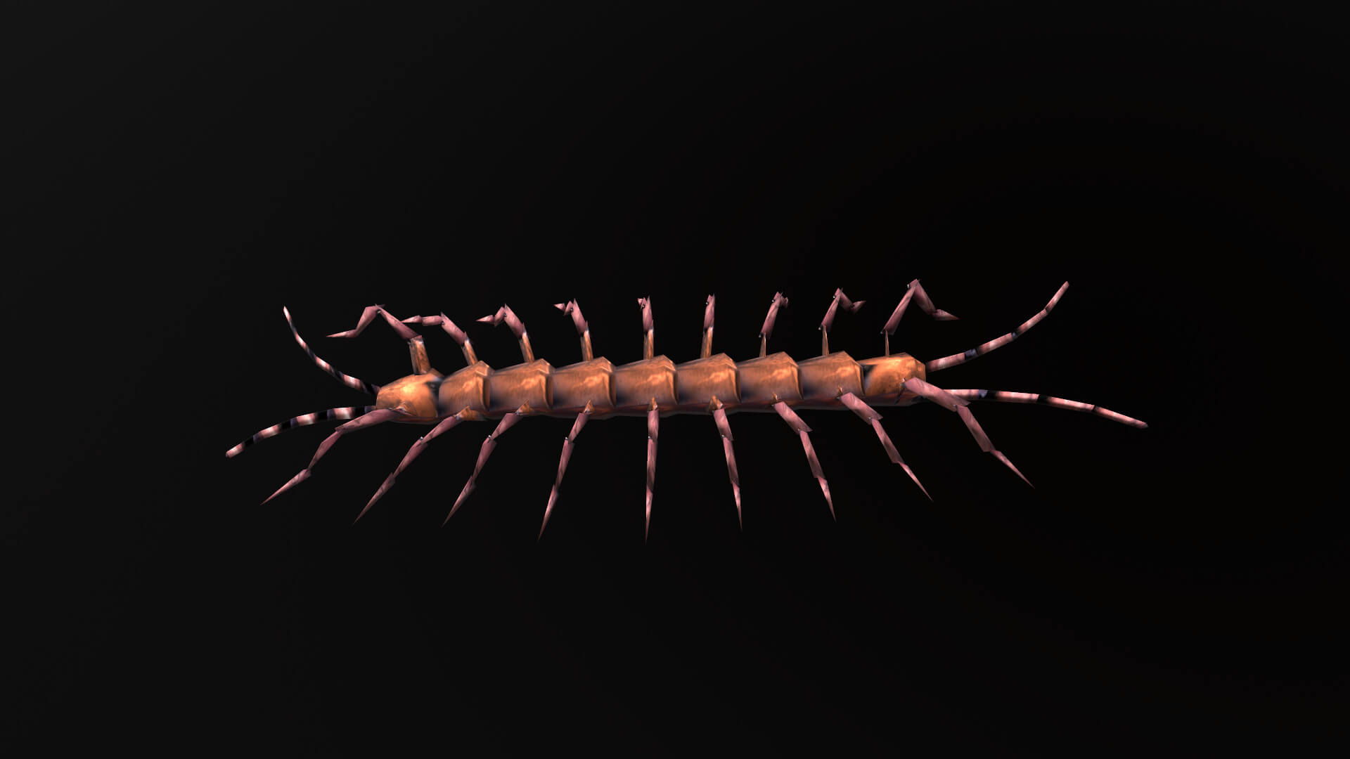 Low Poly Animated Centipede - 3D Model by MadeCG