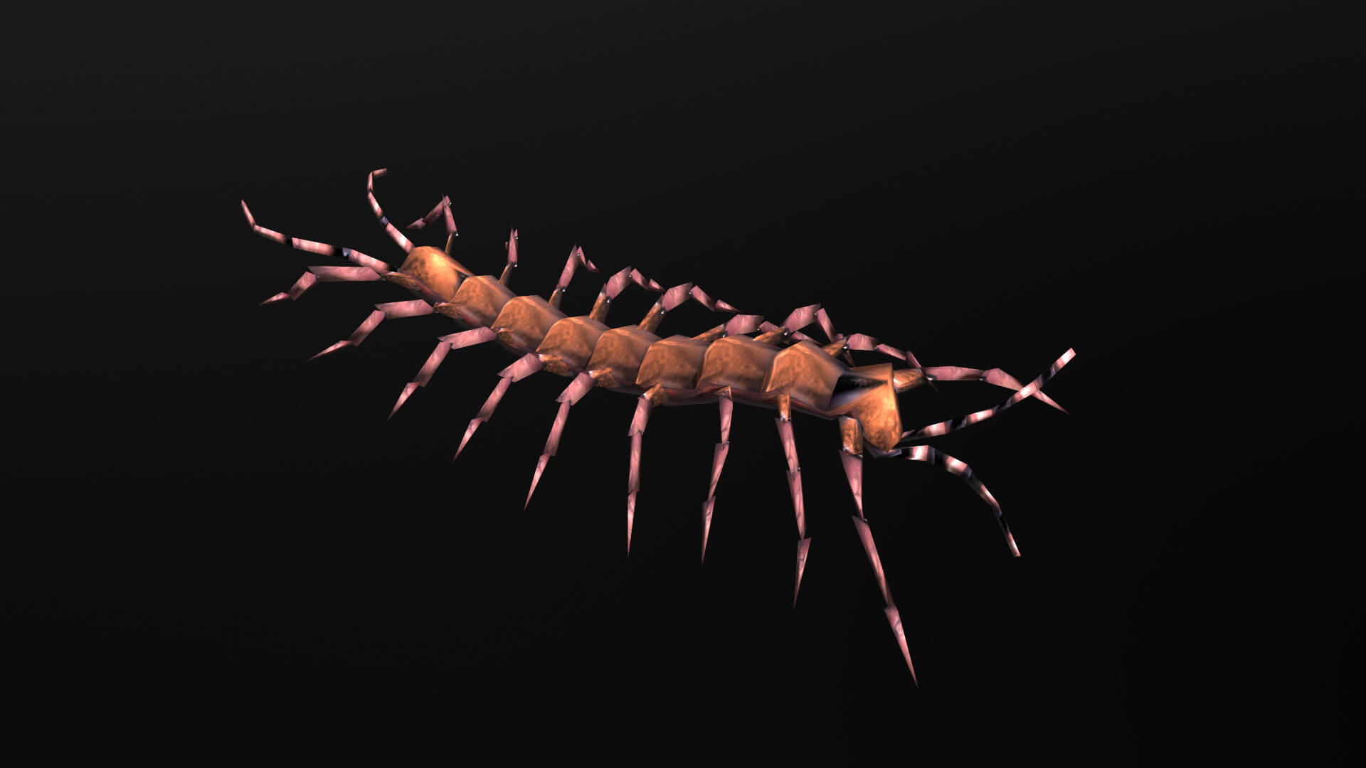 Low Poly Animated Centipede - 3D Model by MadeCG