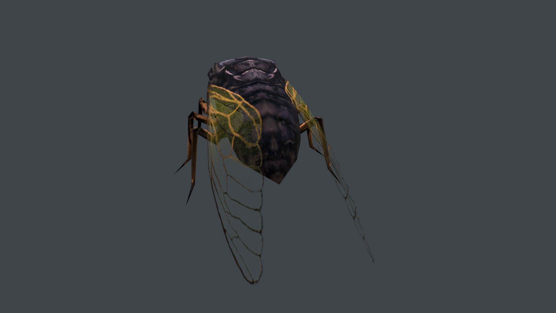Low Poly Animated Cicada - 3D Model by MadeCG