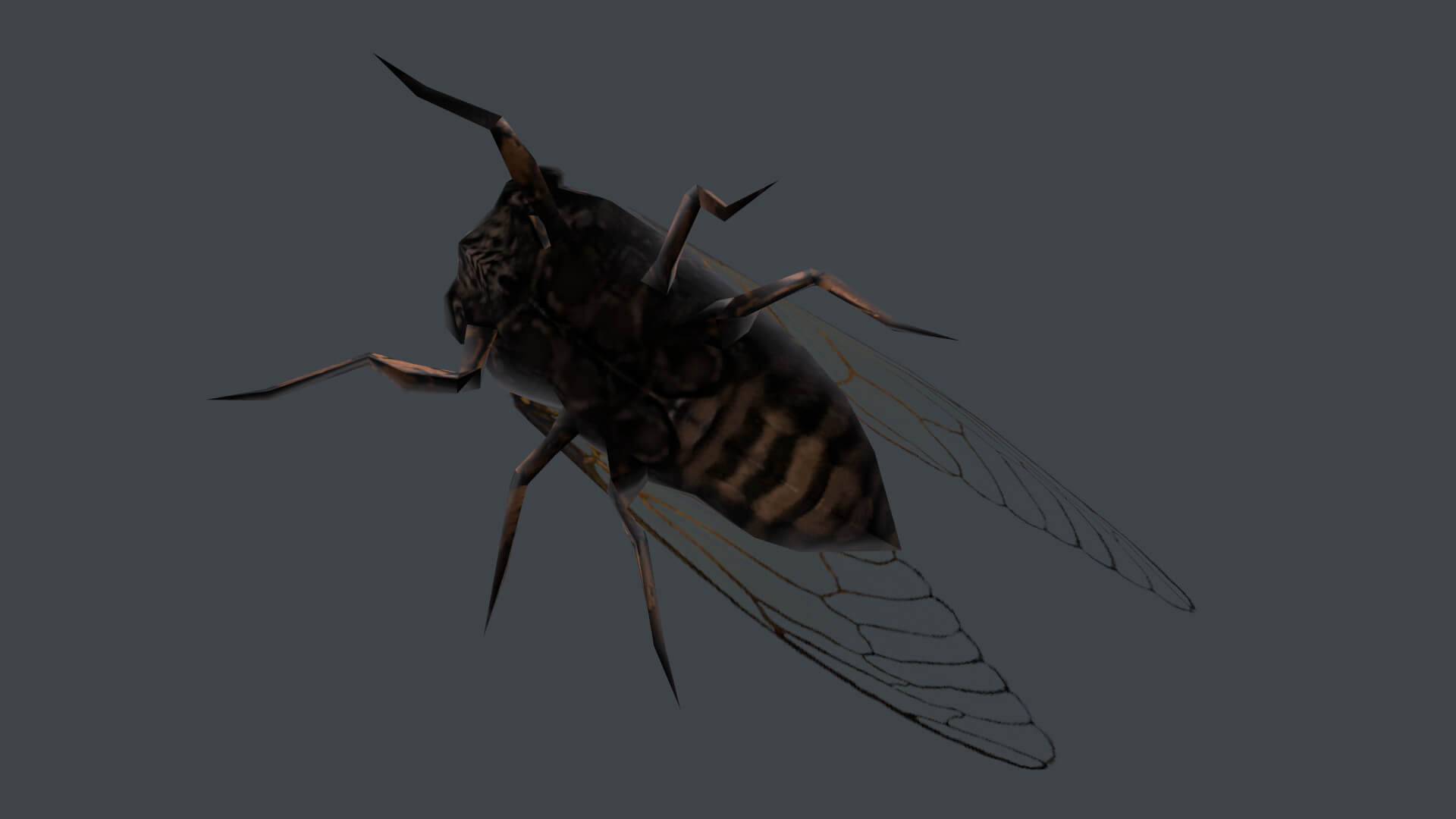 Low Poly Animated Cicada - 3D Model by MadeCG