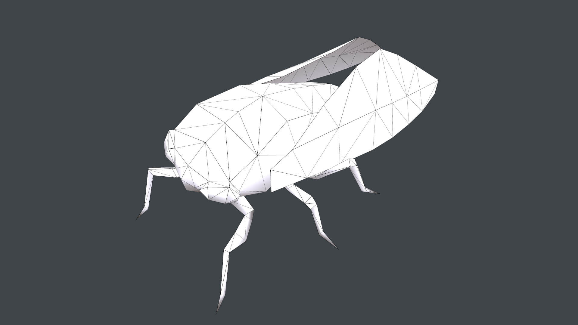 Low Poly Animated Cicada - 3D Model by MadeCG