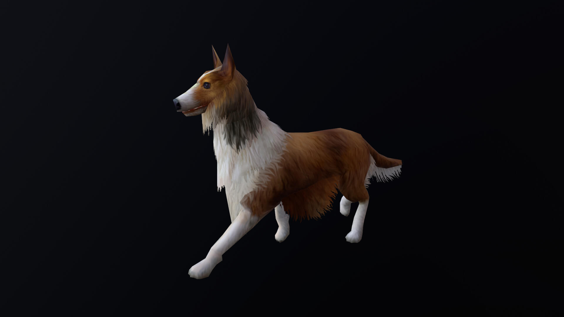 Low Poly Animated Dog Rough Collie - 3D Model by MadeCG