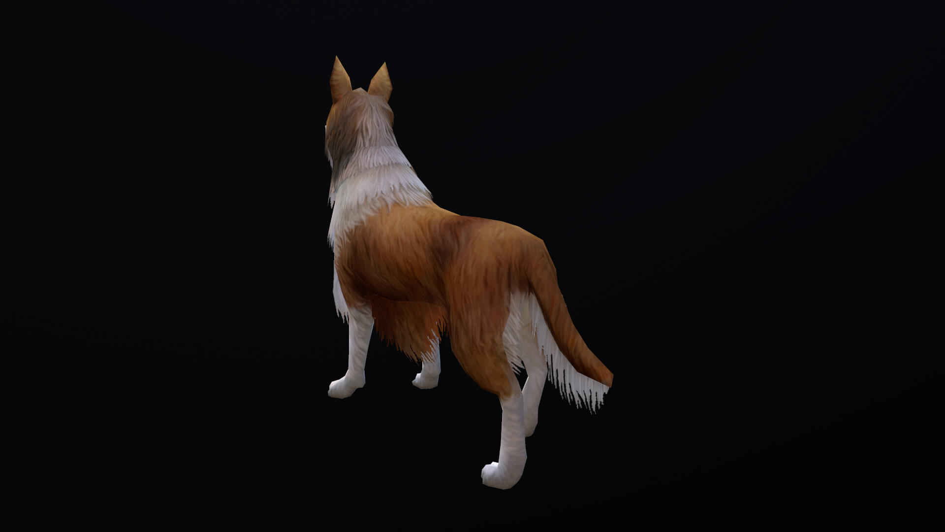 Low Poly Animated Dog Rough Collie - 3D Model by MadeCG