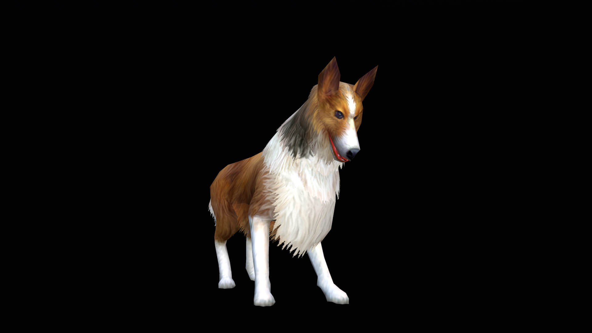 Low Poly Animated Dog Rough Collie - 3D Model by MadeCG