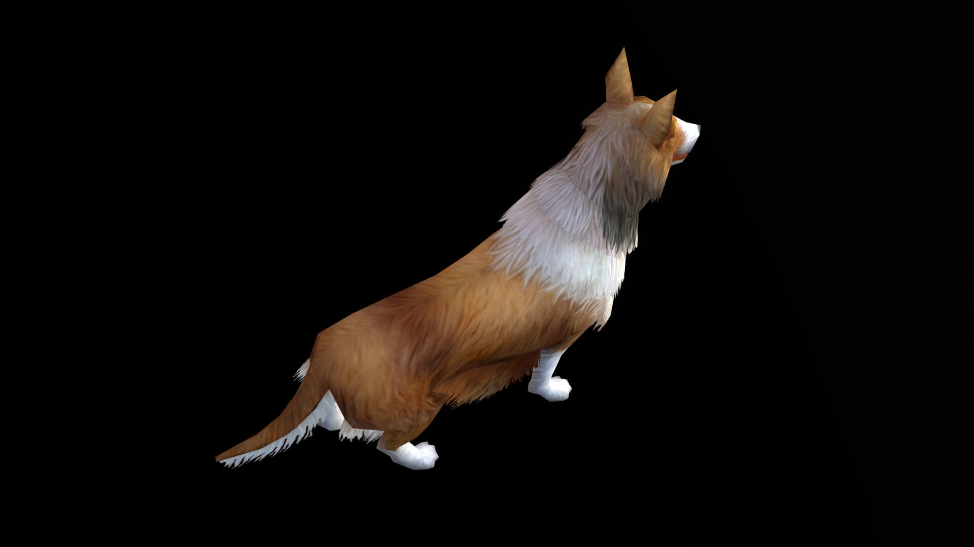 Low Poly Animated Dog Rough Collie - 3D Model by MadeCG