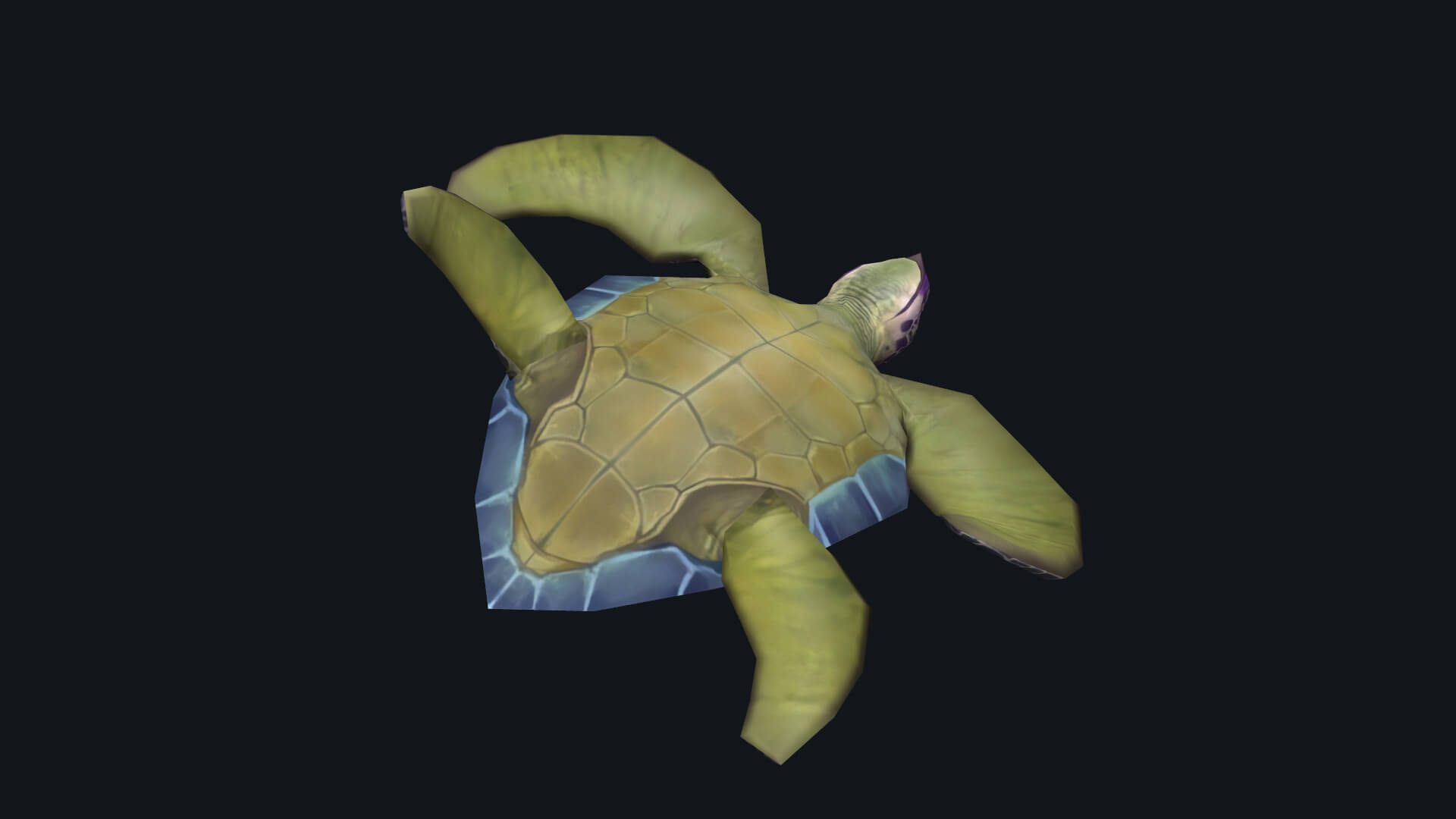 Low Poly Animated Turtle - 3D Model by MadeCG
