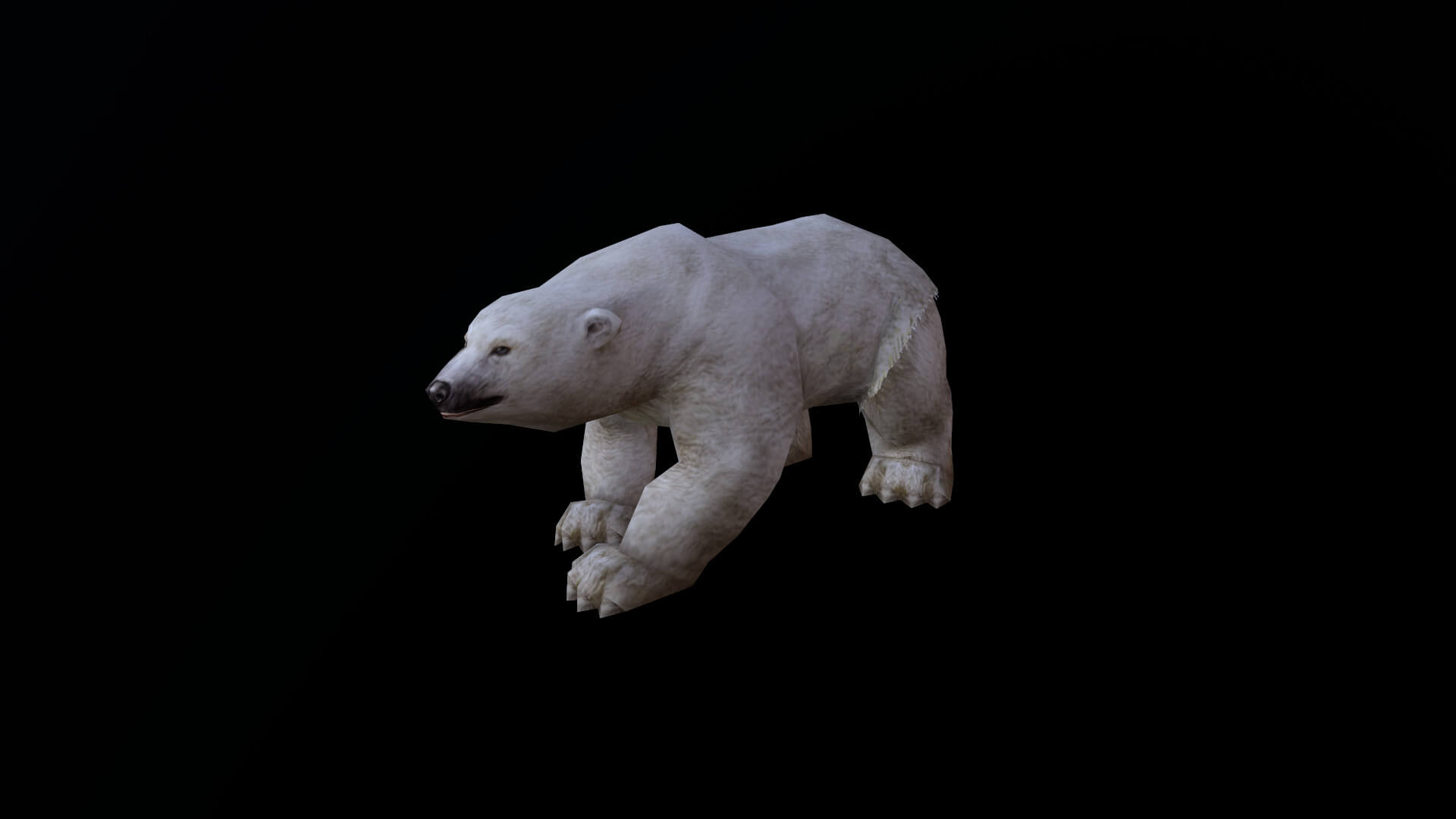 Polar Bear - 3D Model by MadeCG