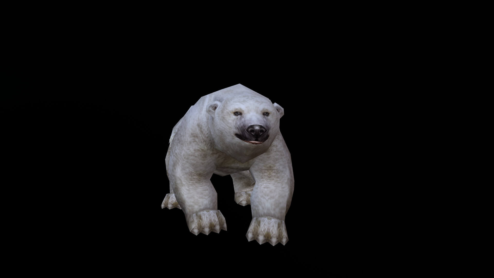 Polar Bear - 3D Model by MadeCG