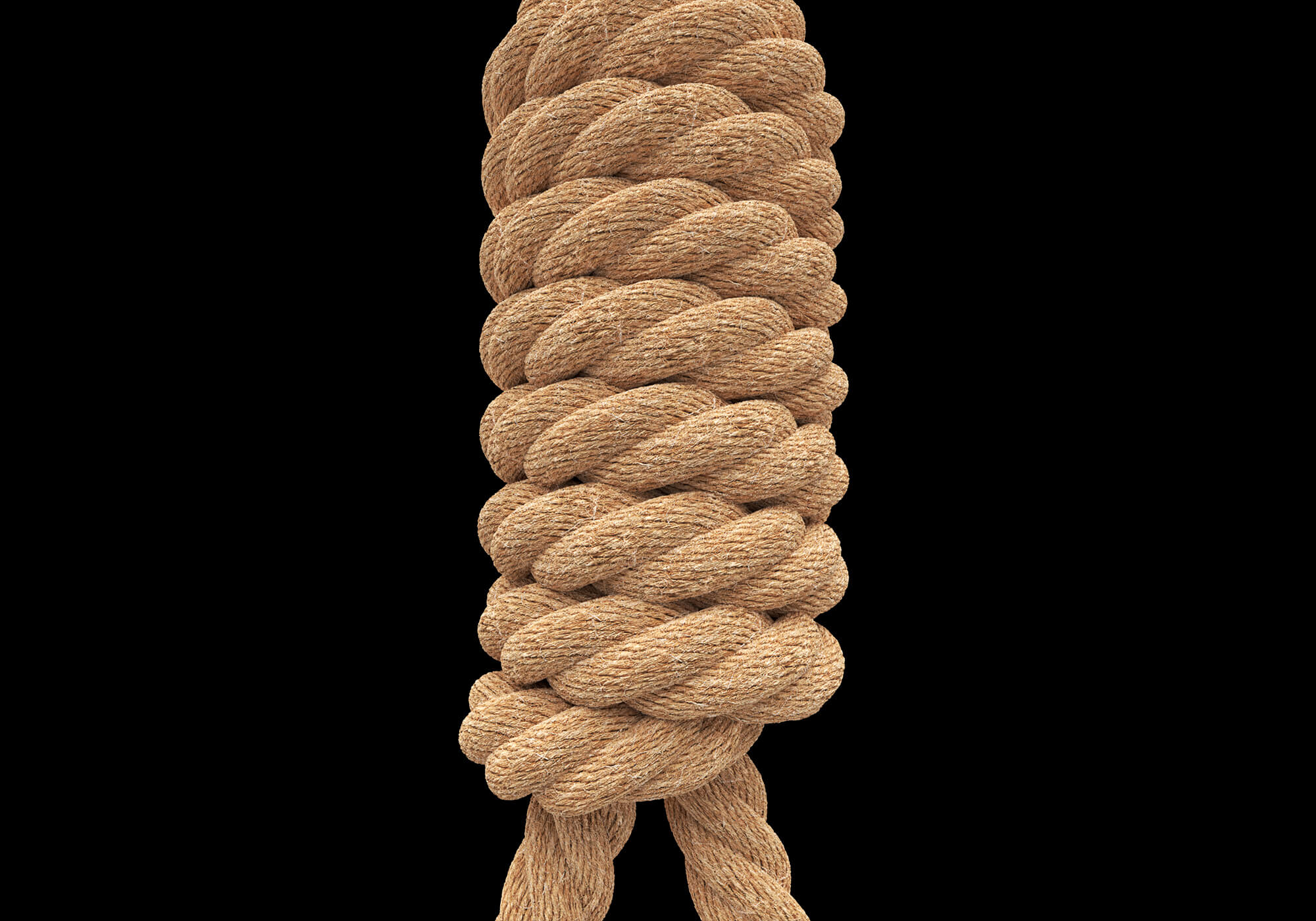 Noose Rope 3d model by Madson Studio