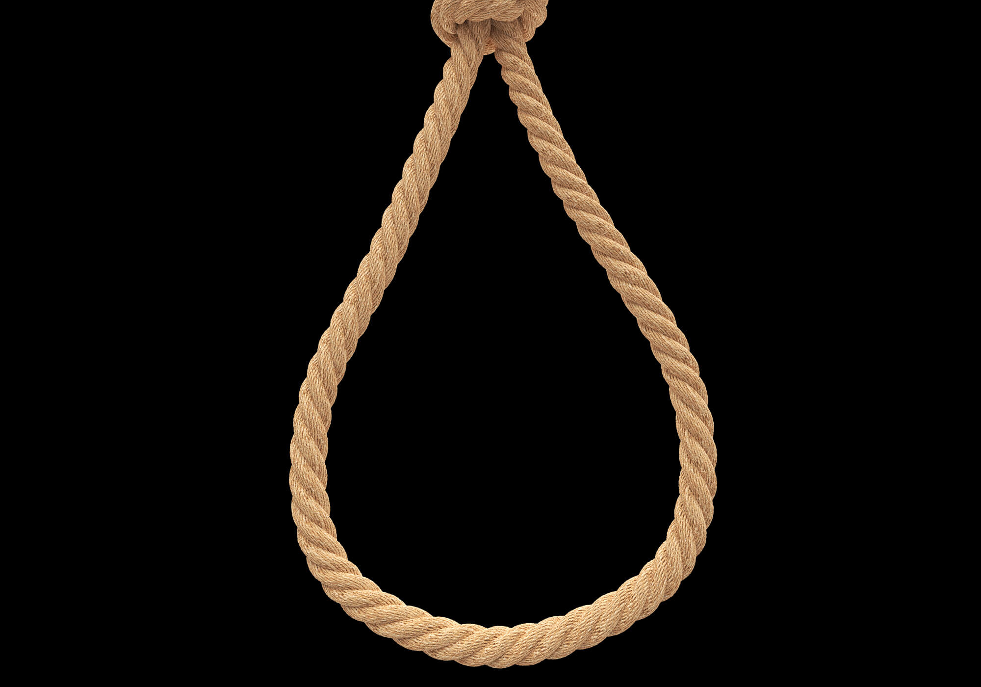 Noose Rope 3d model by Madson Studio
