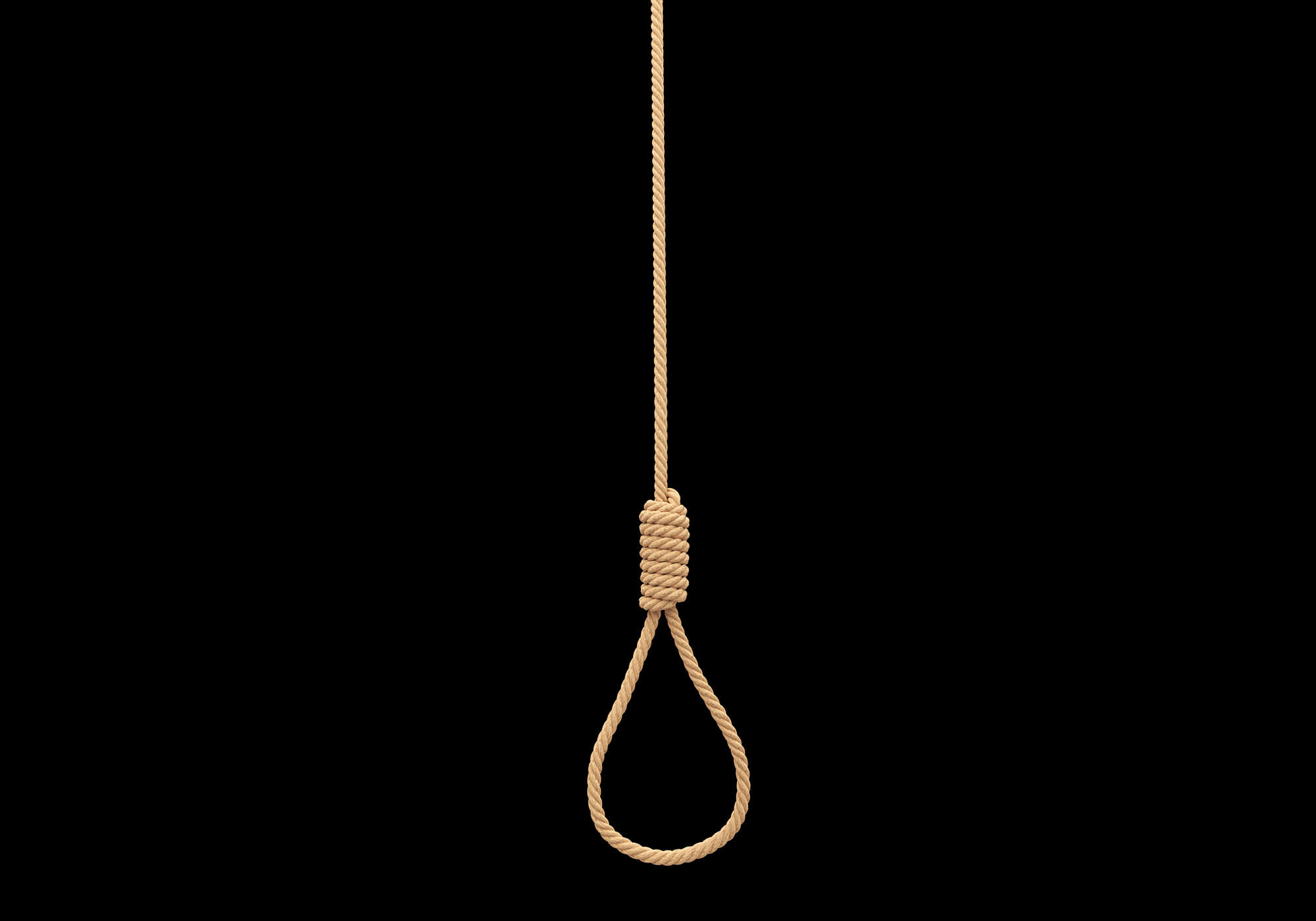 Noose Rope 3d model by Madson Studio