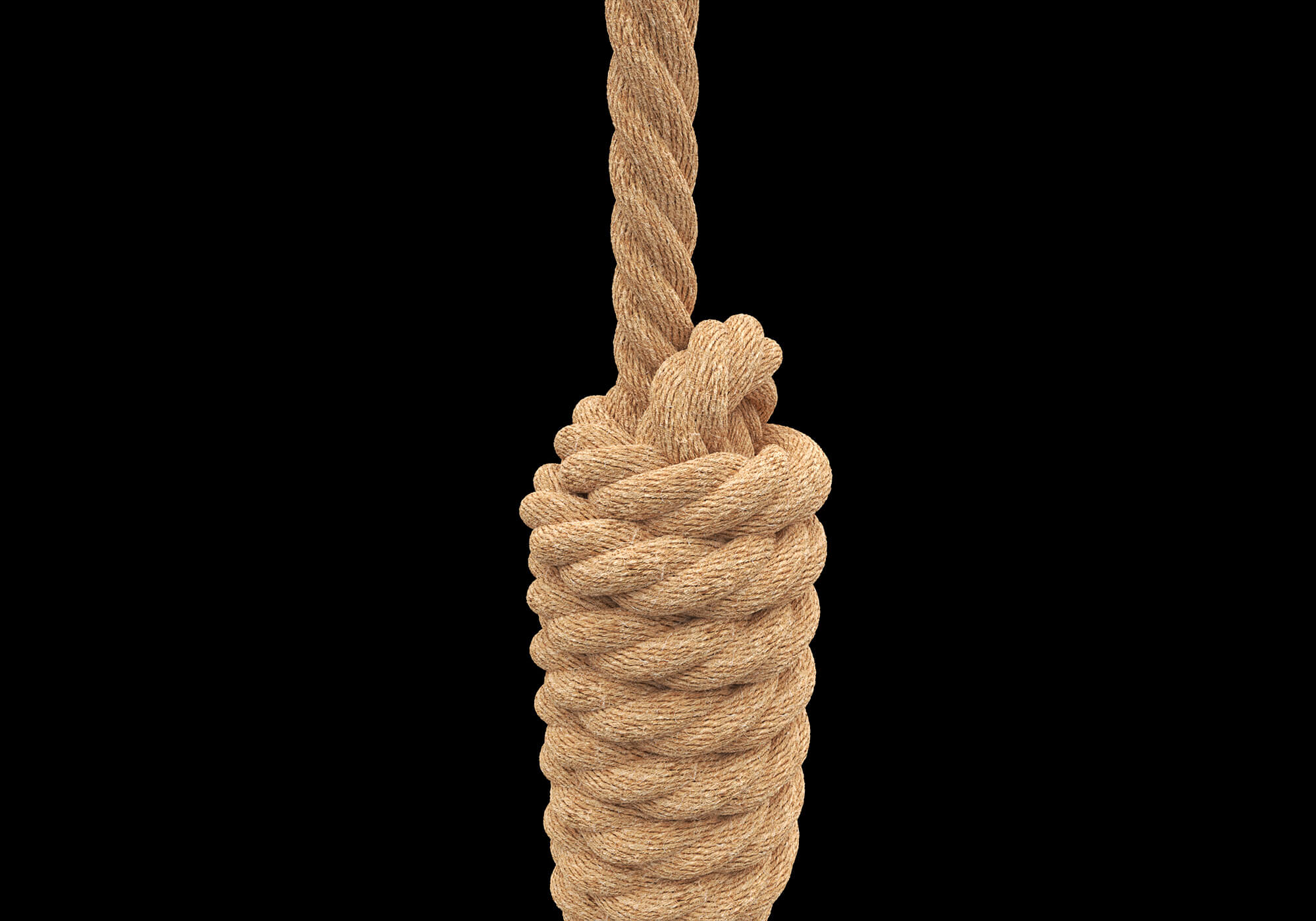 Noose Rope 3d model by Madson Studio