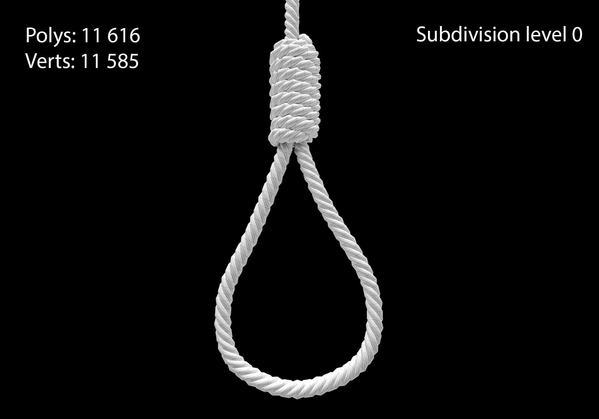 Noose Rope 3d model by Madson Studio