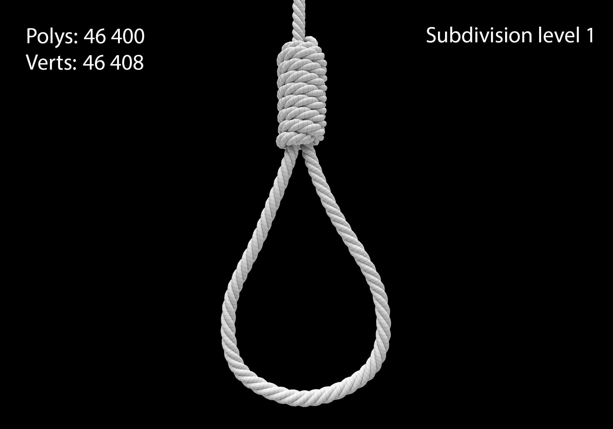 Noose Rope 3d model by Madson Studio