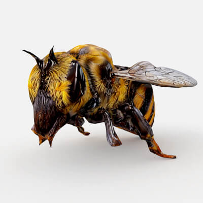 Bee Cartoon Low-Poly 3D Model by Mak21