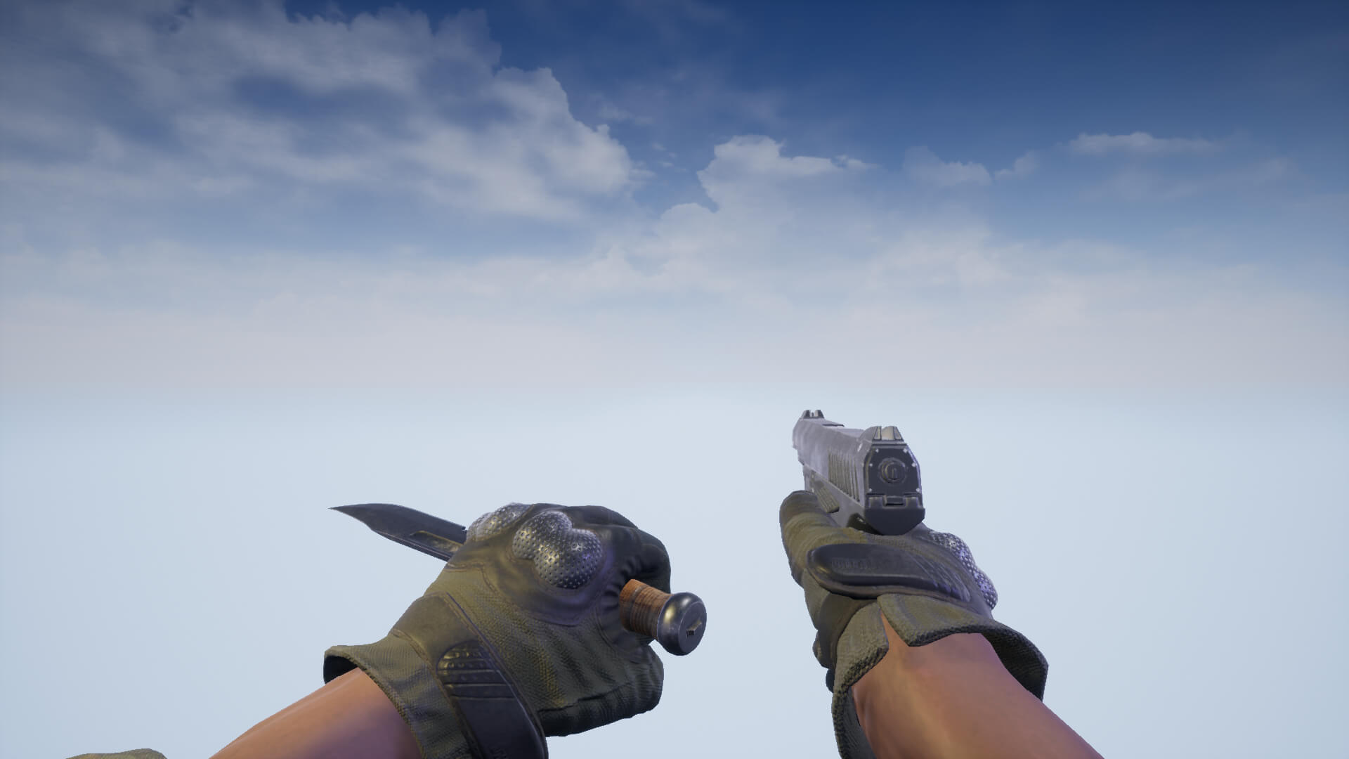 FPS Animations (Pistol-Knife) 3D Animation by Maksim_Bugrimov