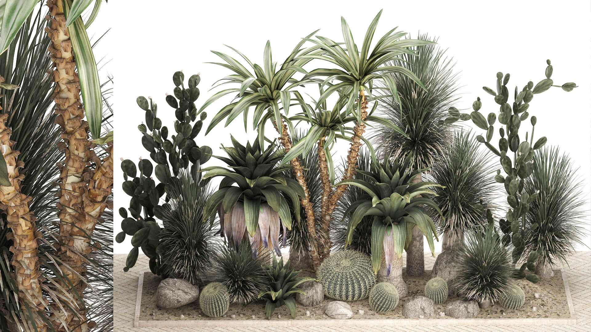 Collection of Desert Plants From Cacti, Yucca and Prickly - 3D Model by malkmen84