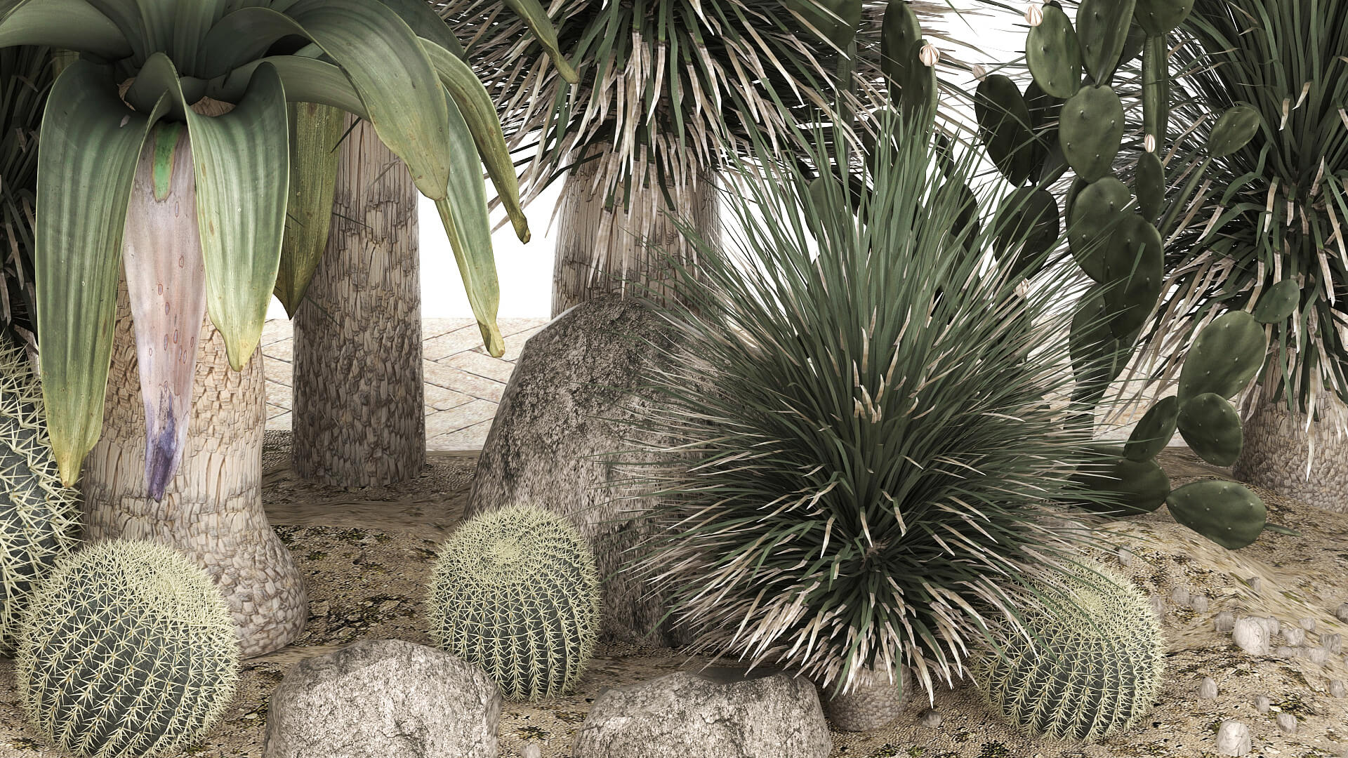 Collection of Desert Plants From Cacti, Yucca and Prickly - 3D Model by malkmen84