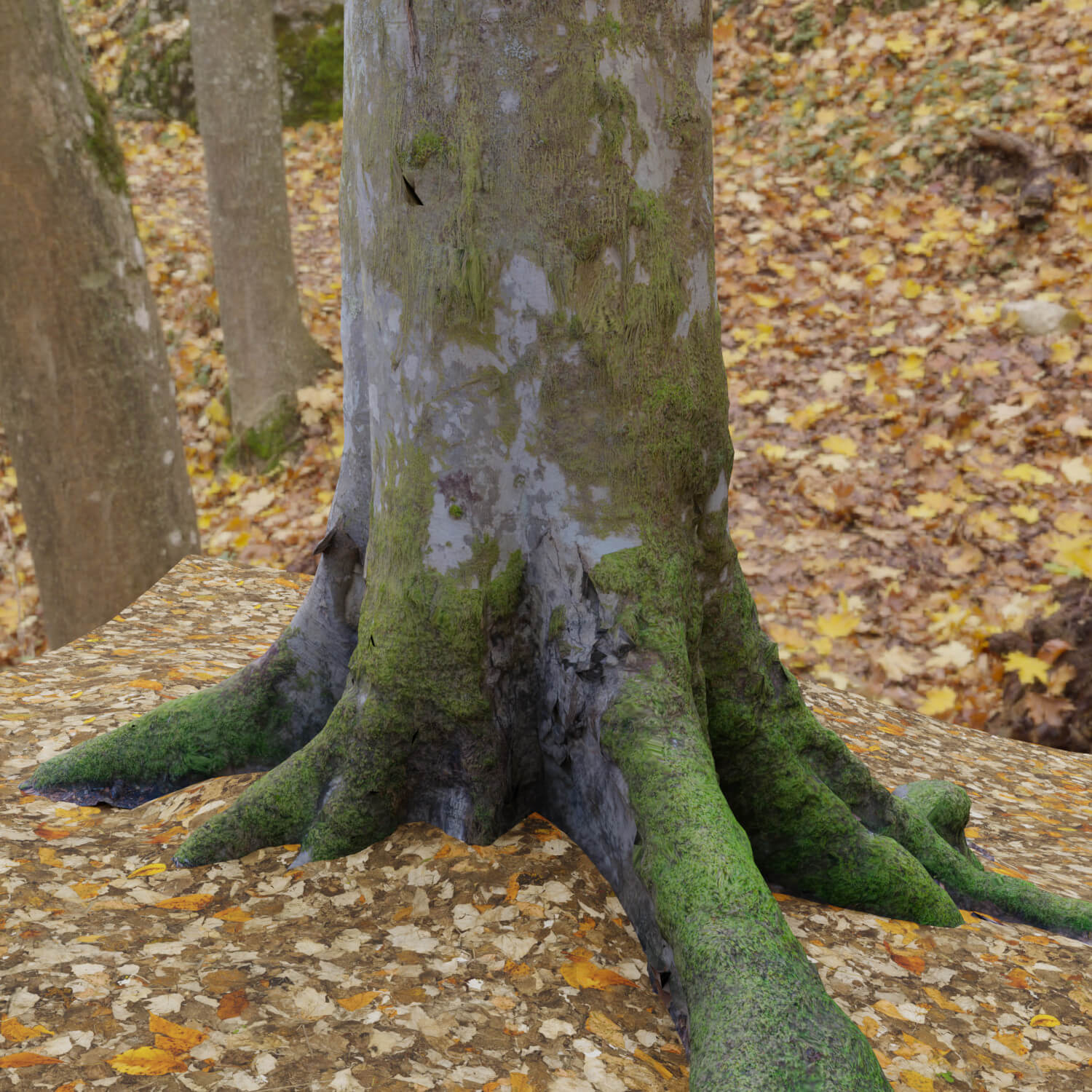 Mossy Tree Trunk - Free 3D Model by Martin_Waters