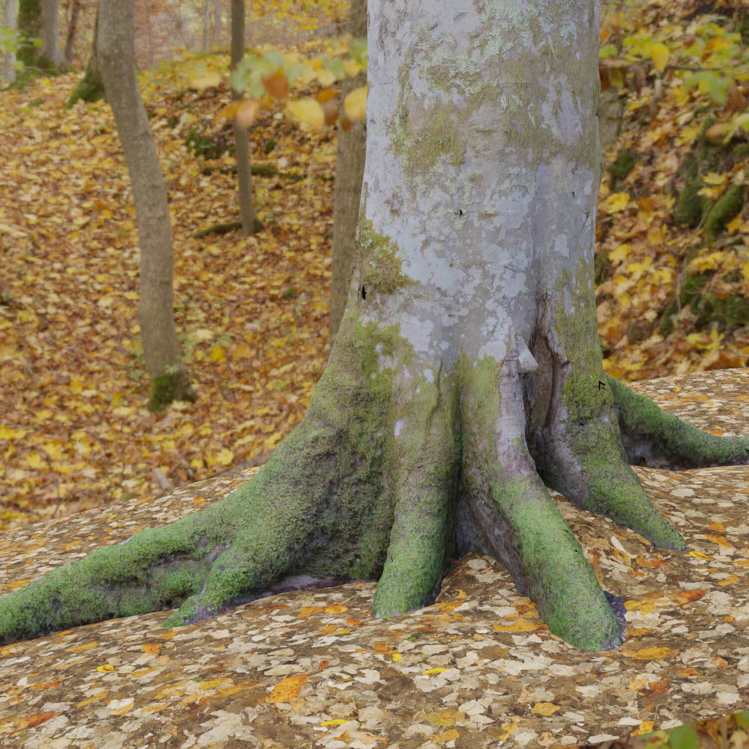 Mossy Tree Trunk - Free 3D Model by Martin_Waters