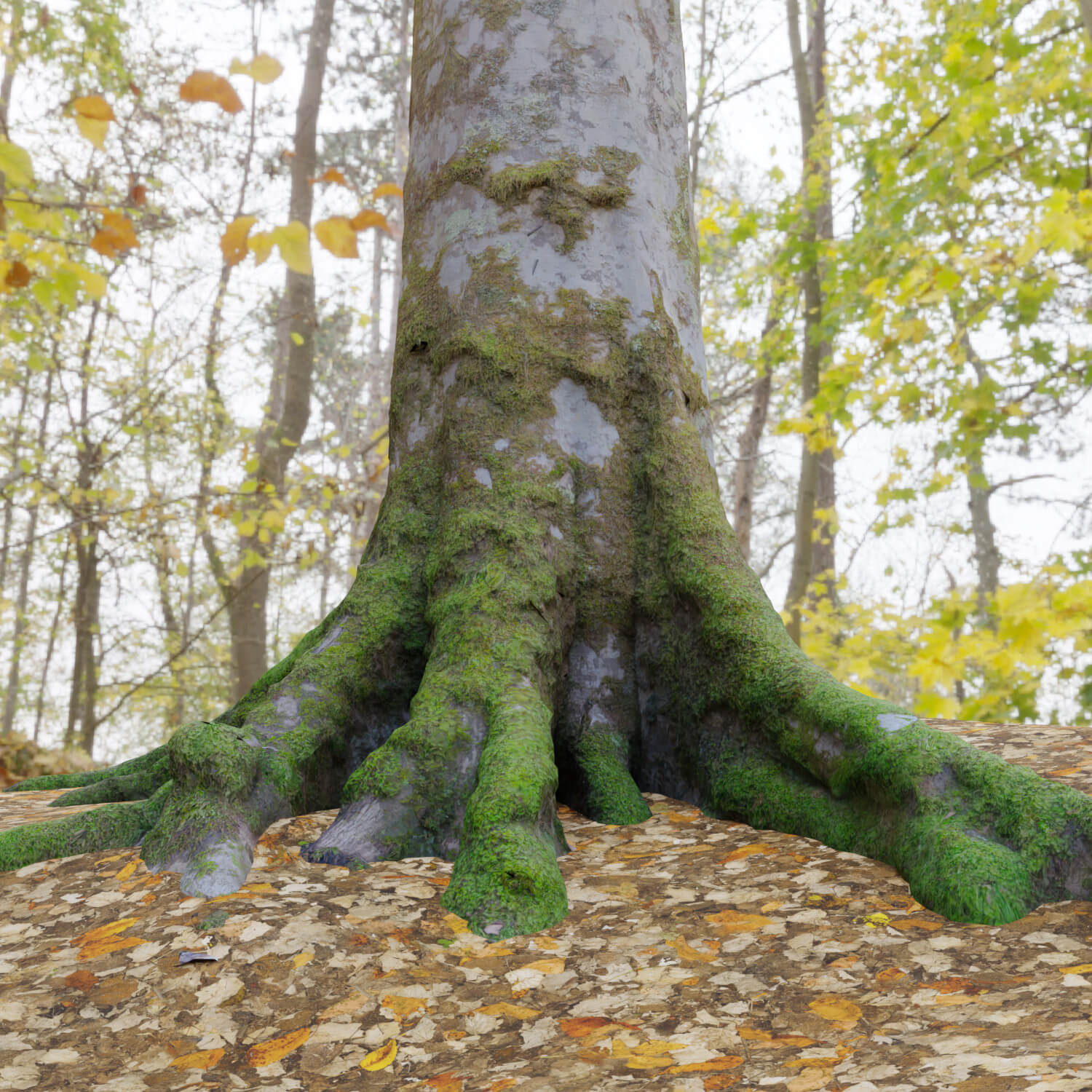 Mossy Tree Trunk - Free 3D Model by Martin_Waters