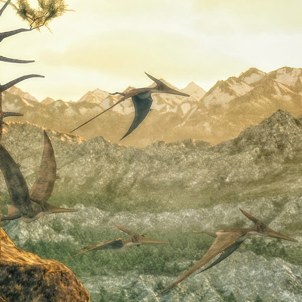 3D Art Gallery by maru_berlin at RenderHub