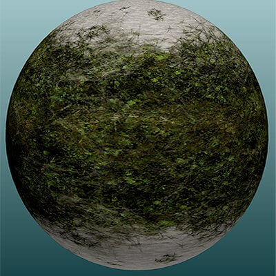 4k Textures | Plants | Grass | RenderHub